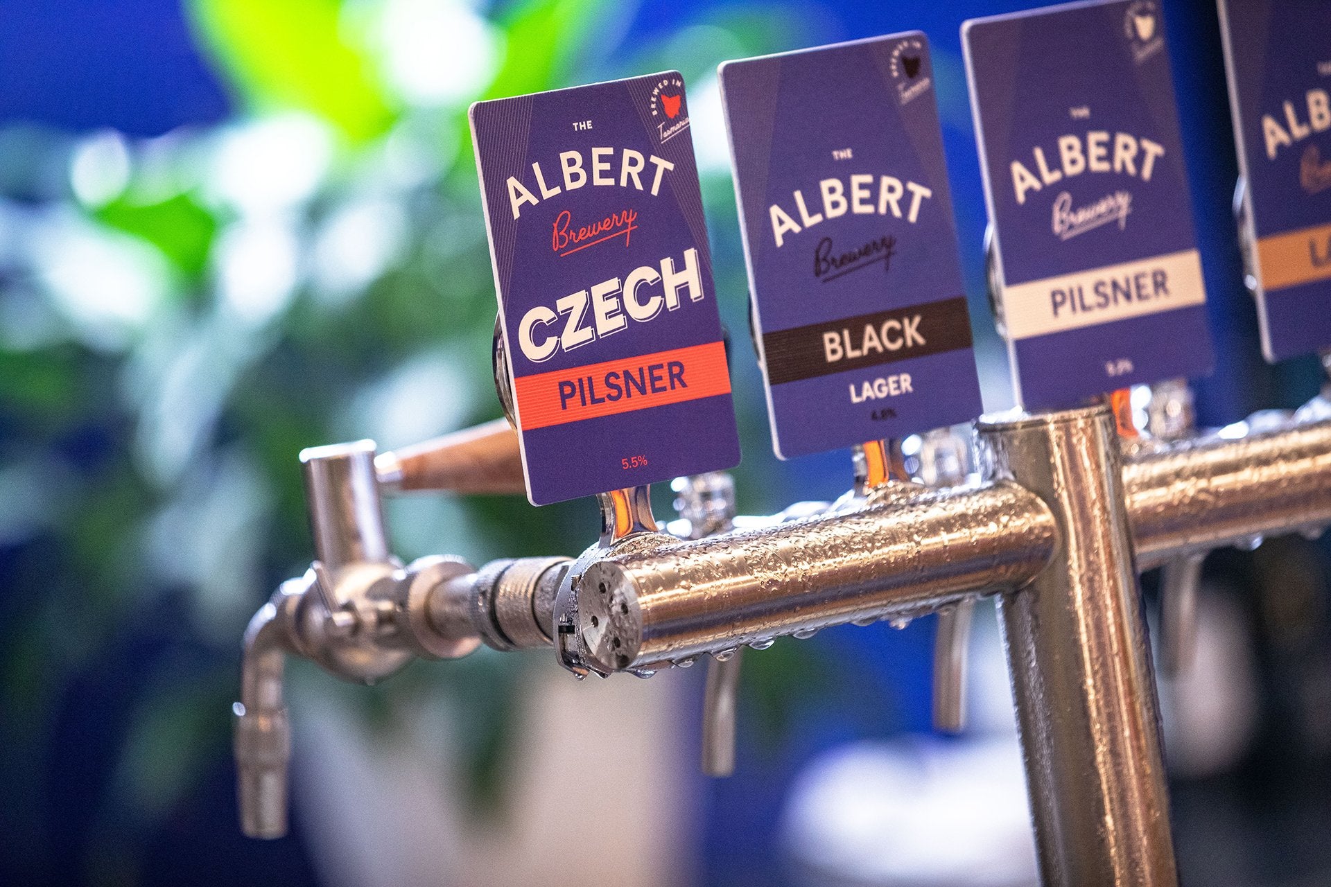 Beer – The Albert Brewery